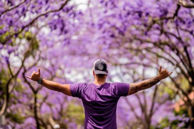 10 Most Common Flowering Trees in San Diego | Tree Service