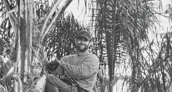 San Diego Tree Trimming, Removals & Care | LC Tree Service